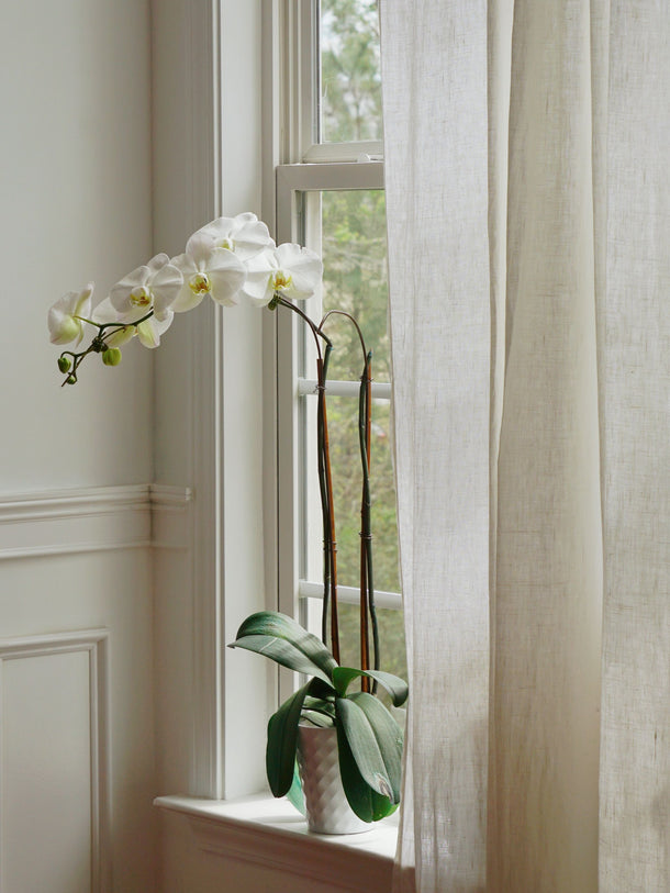 Allergy-Friendly Curtains: Stop Sneezing & Breathe Easy!